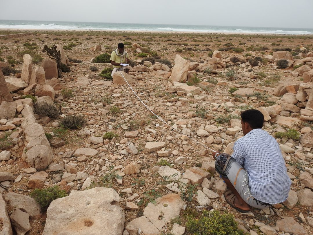 Tangible Heritage | Soqotra Cultural Heritage